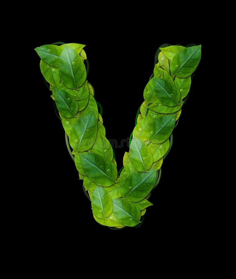 Letras Do Alfabeto Das Folhas Foto de Stock - Imagem de ornamento ...