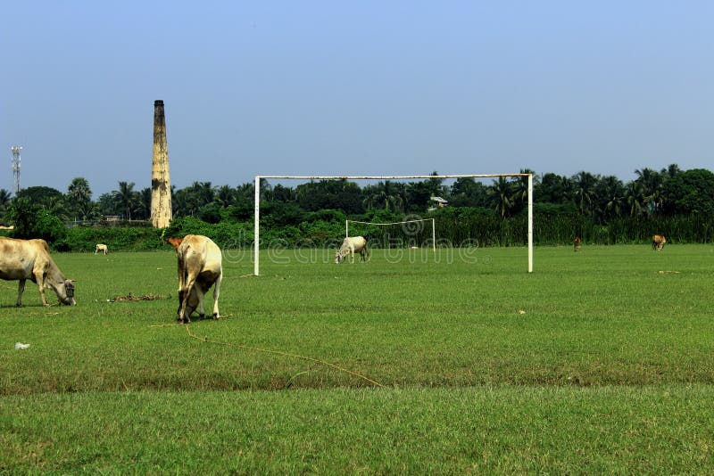 Lets play football stock image. Image of outdoor, nature - 72357243
