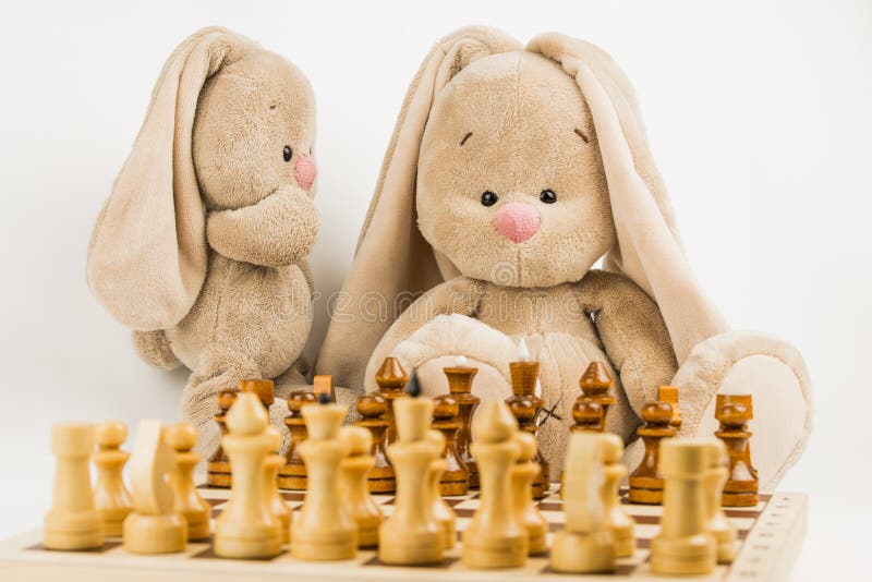 Animals Play Chess Stock Photos - Free & Royalty-Free Stock Photos from ...