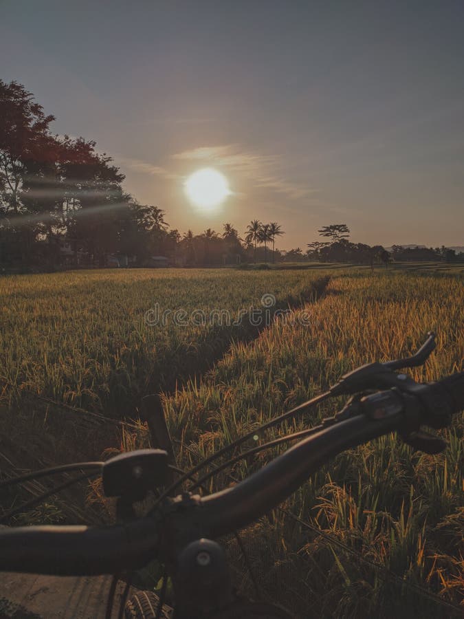 Lets see a sunrise stock image. Image of sunset, dusk - 262404103