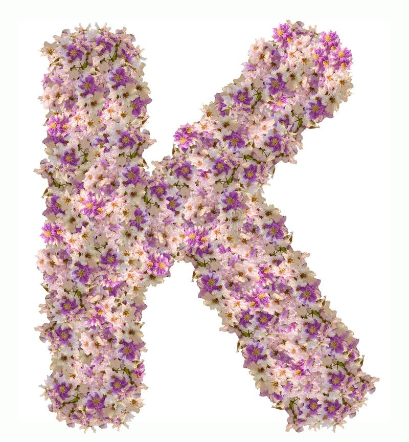 Letter Alphabet with Flower ABC Concept Type As Logo. Stock ...