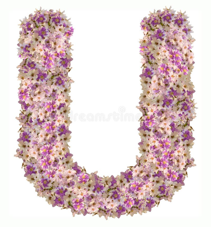 Letter Alphabet with Flower ABC Concept Type As Logo. Stock ...