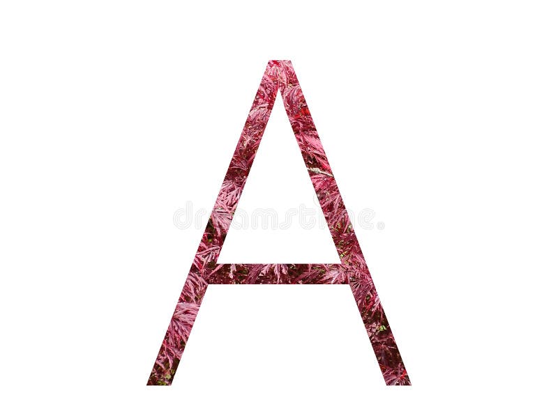 Letter a of the Alphabet Made with Red Leaves of a Tree Stock Photo ...