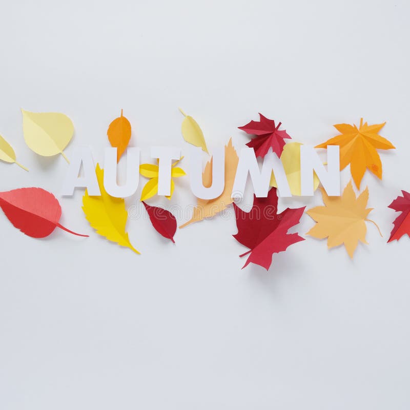 Letter D from Autumn Maple Leaves Isolated on White Background ...