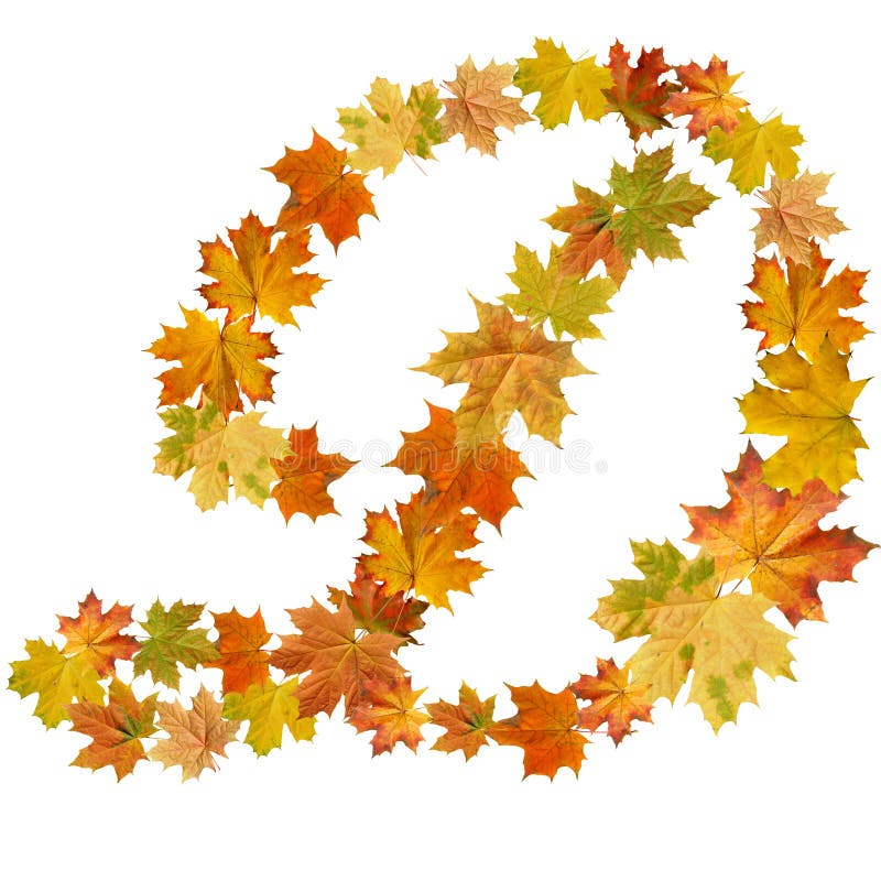 Letter of Autumn Maple Leaves Stock Photo - Image of sheet, october ...