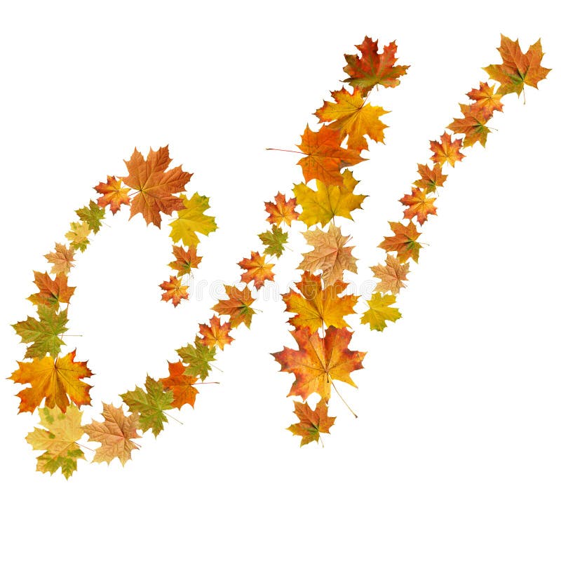 Letter of Autumn Maple Leaves Stock Photo - Image of symbol, orange ...