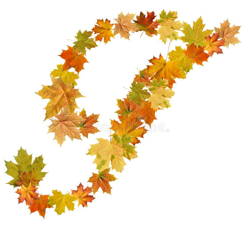 Letter of Autumn Maple Leaves Stock Image - Image of alphabet, flora ...