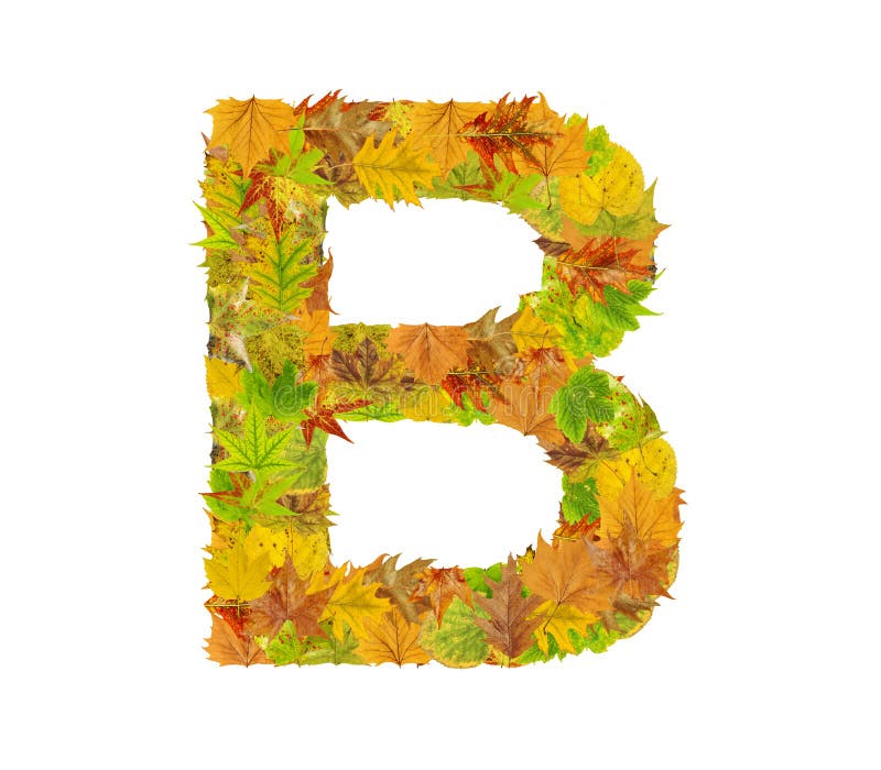 The Letter Y and Z of Alphabet Made of Autumn Leaves Stock Photo ...