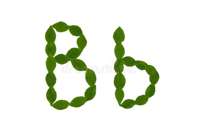Letter B, Alphabet Made from Green Leaves Stock Image - Image of ...