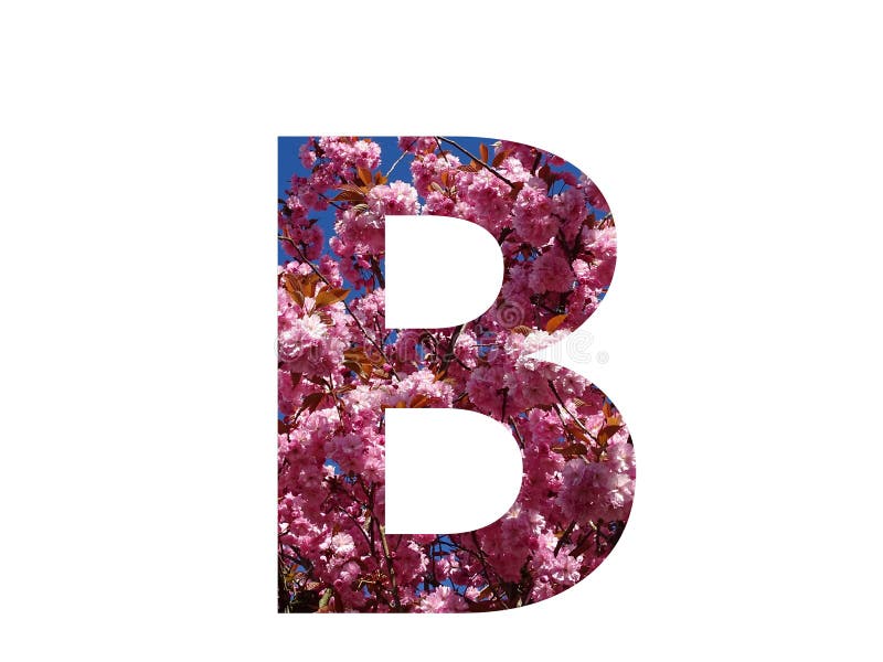 135 Alphabet Nature Leaves Logo Stock Photos - Free & Royalty-Free ...