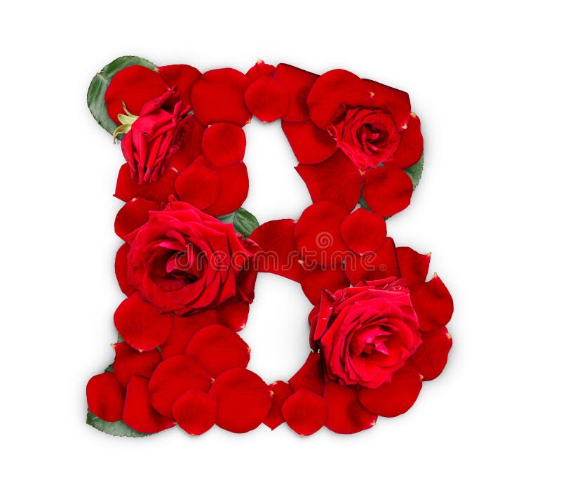 Red Roses Font Abc Lowercase Letters. Stock Vector - Illustration of ...