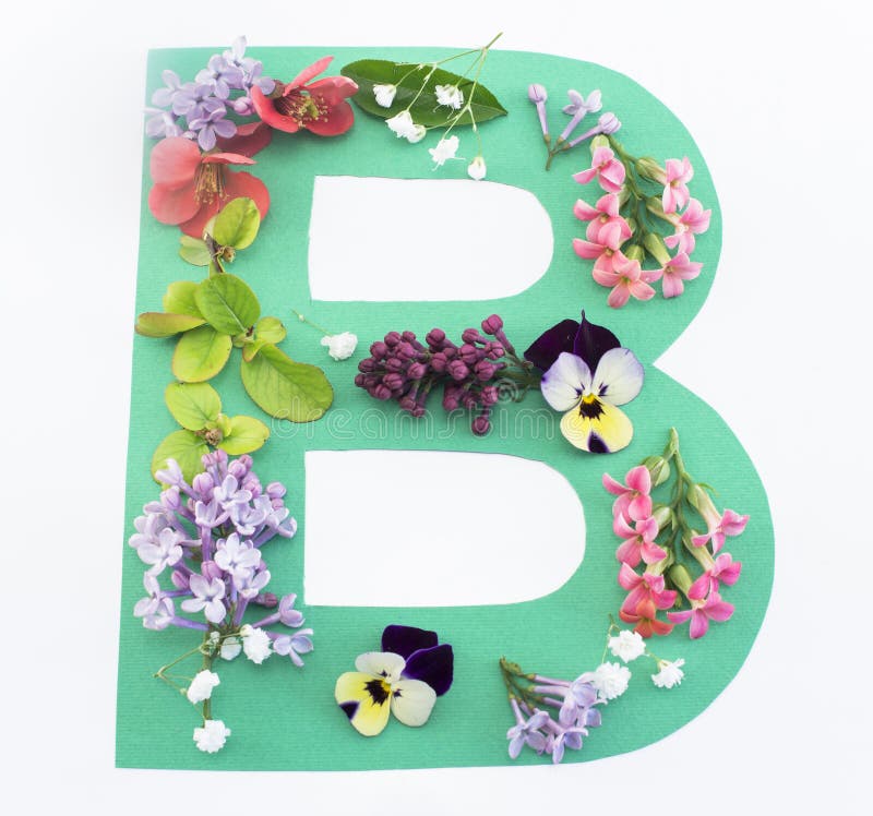 Letter B Made of Spring Flowers and Paper Stock Image - Image of pansy ...