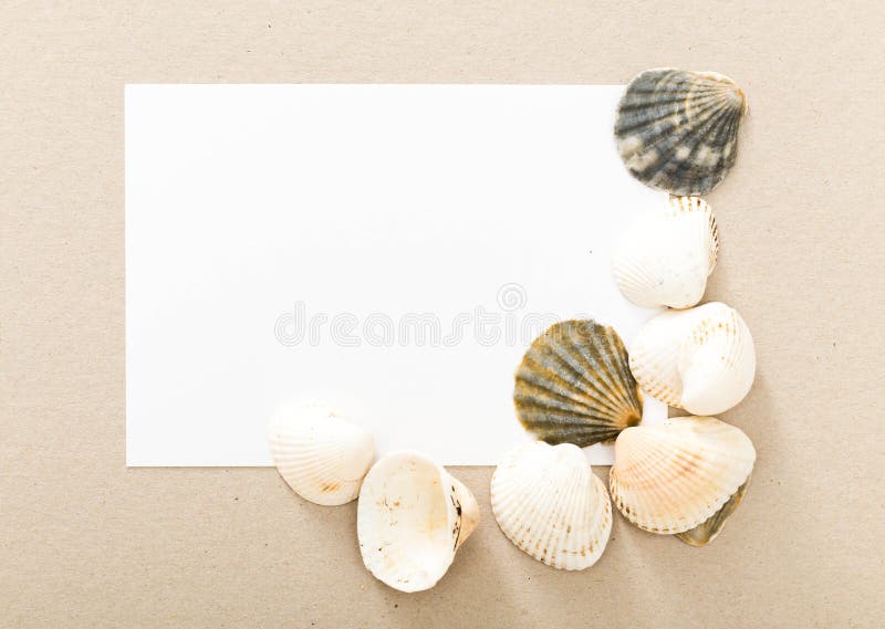 Letter from the Beach. Seashells Stock Photo - Image of marine, table ...