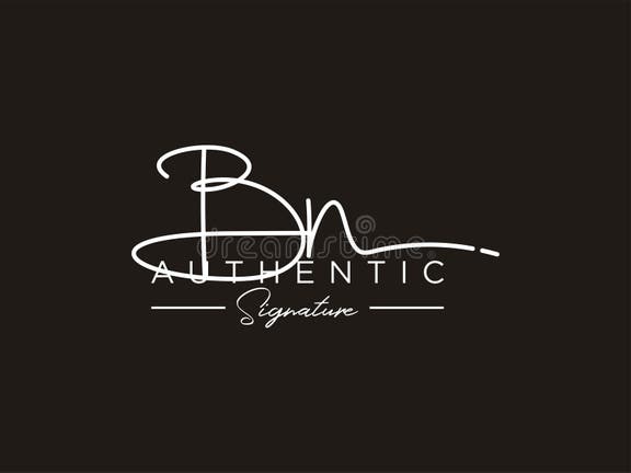 Letter BN Signature Logo Template Vector Stock Vector - Illustration of ...