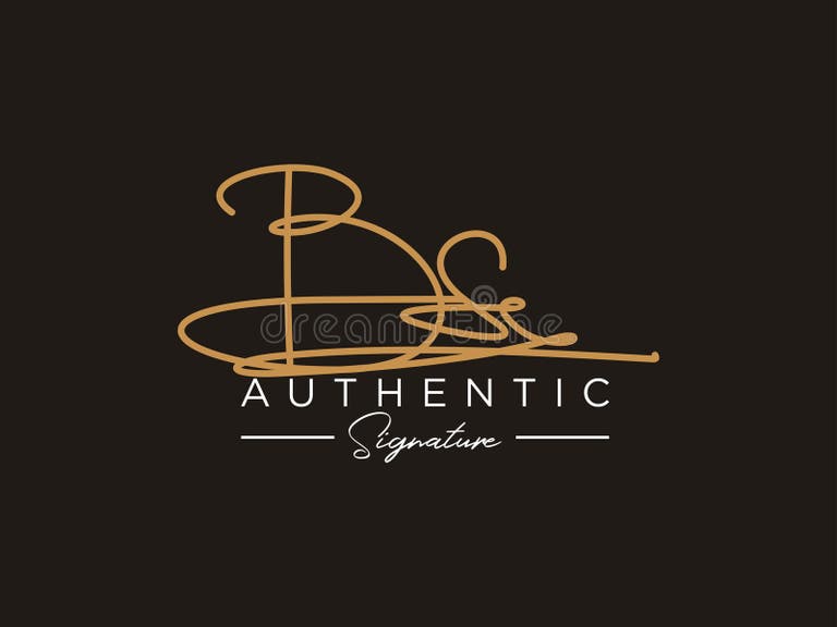 Letter BS Signature Logo Template Vector Stock Vector - Illustration of ...