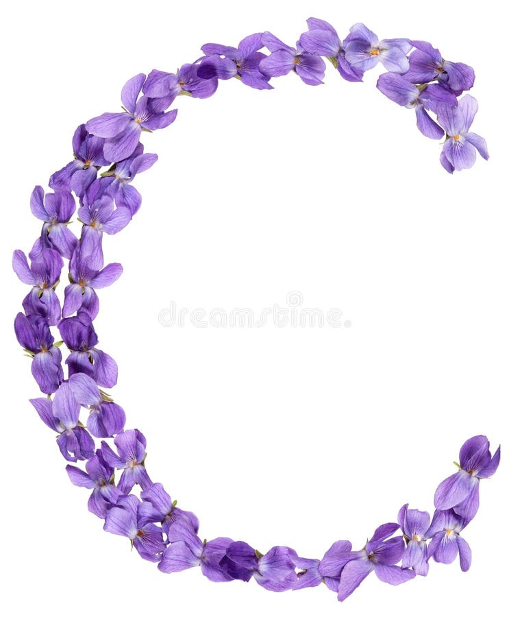 Letter C from Alphabet, from Flowers of Violet, Isolated on White ...