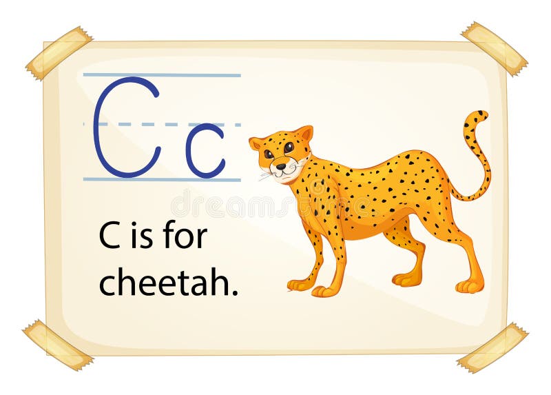 C Flashcard Stock Illustrations – 481 C Flashcard Stock Illustrations ...