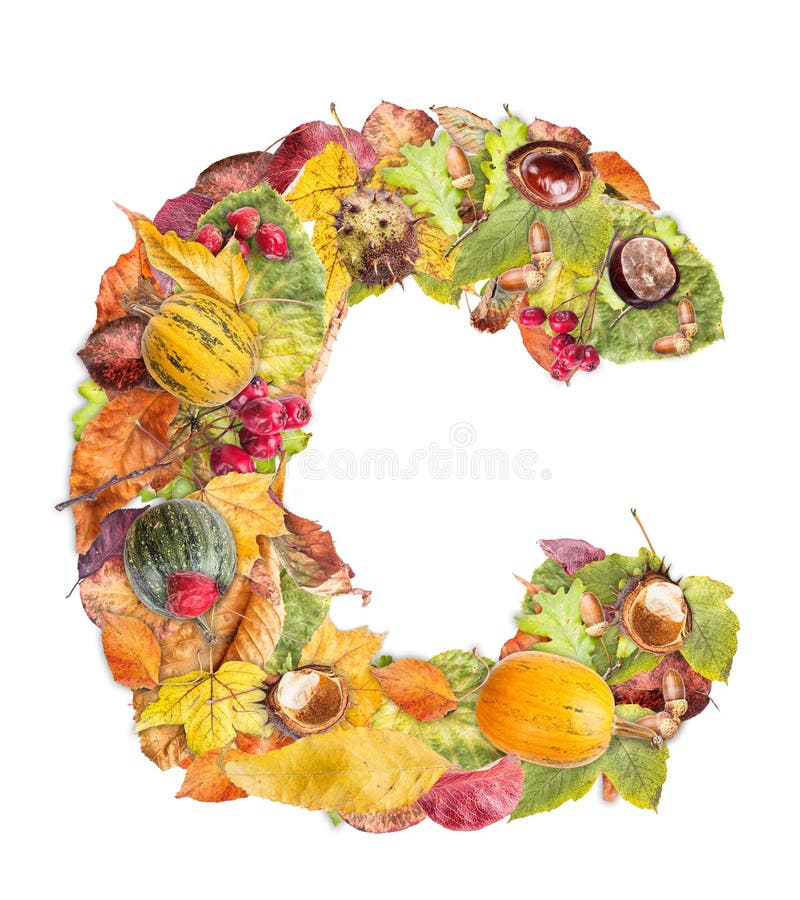 Letter C stock illustration. Illustration of hawthorn - 34384767