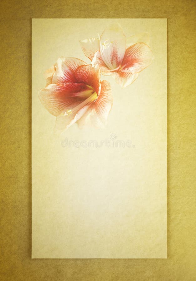 Elegant letter background stock photo. Image of cardoboard - 26549226