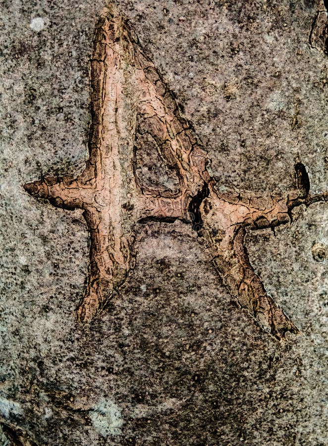 438 Letter Carved Tree Stock Photos - Free & Royalty-Free Stock Photos ...