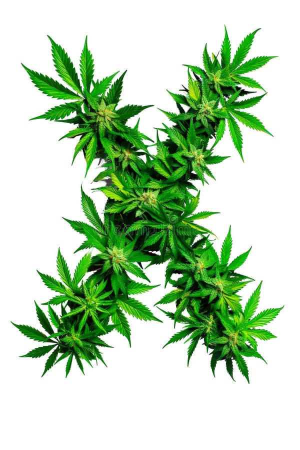 The Letter X is Creatively Crafted Using Marijuana Leaves, Showcasing a Unique Composition of ...
