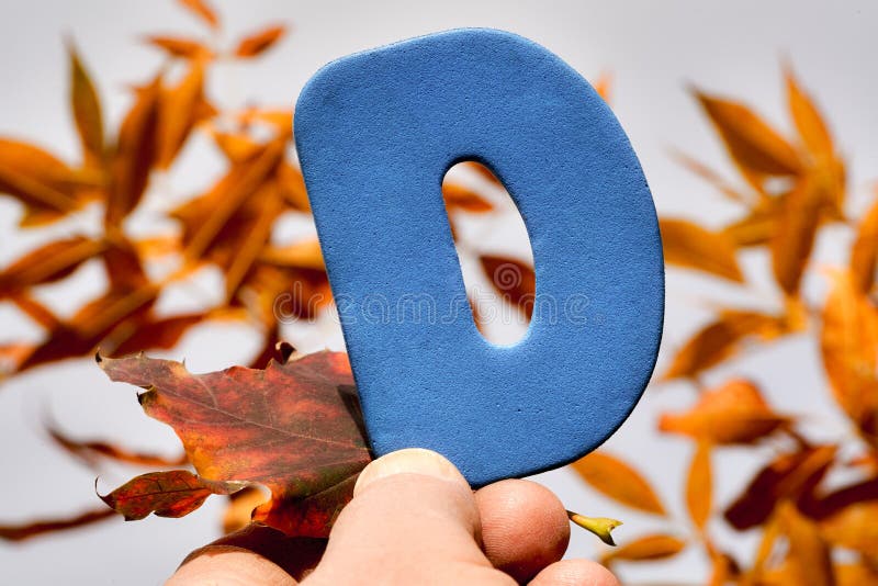 Letter D Against the Background of Autumn Leaves. Vitamin D Concept ...