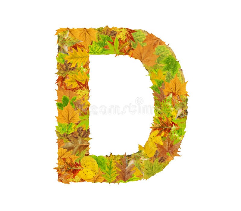 The Letter D of Alphabet Made of Autumn Leaves Stock Image - Image of ...