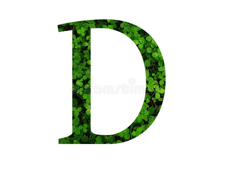 Letter D of the Alphabet Made with Green Leaf of a Clover Field Stock ...