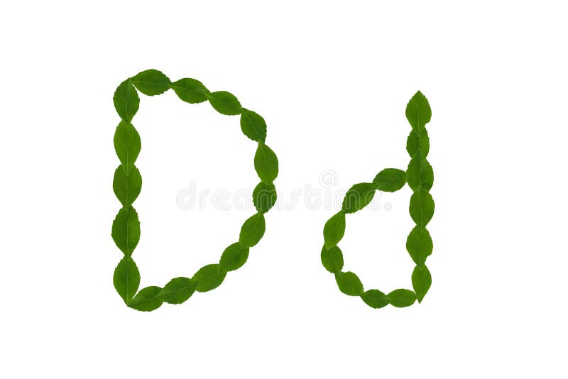 Letter D, Alphabet Made from Green Leaves Stock Photo - Image of symbol ...