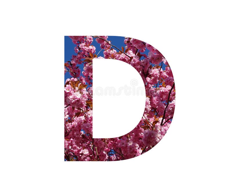 Japanese Typeface Stock Photos - Free & Royalty-Free Stock Photos from ...