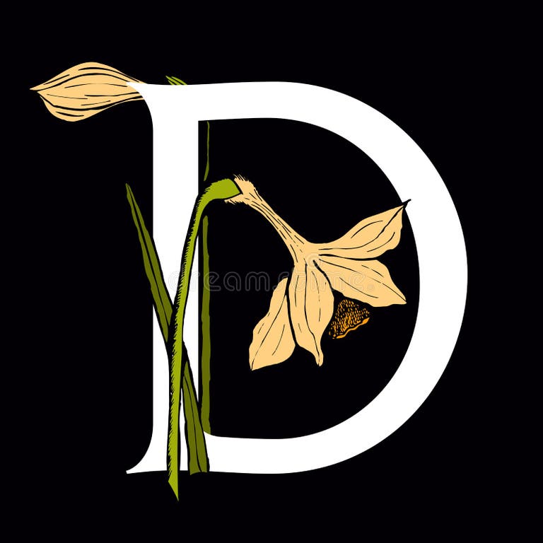 Letter D with Daffodil Flower Stock Vector - Illustration of floral ...