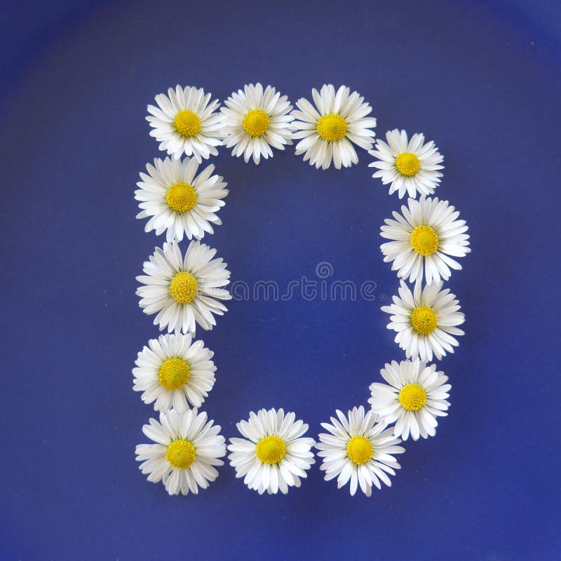 Letter D flowers alphabet stock image. Image of lettering - 78460551