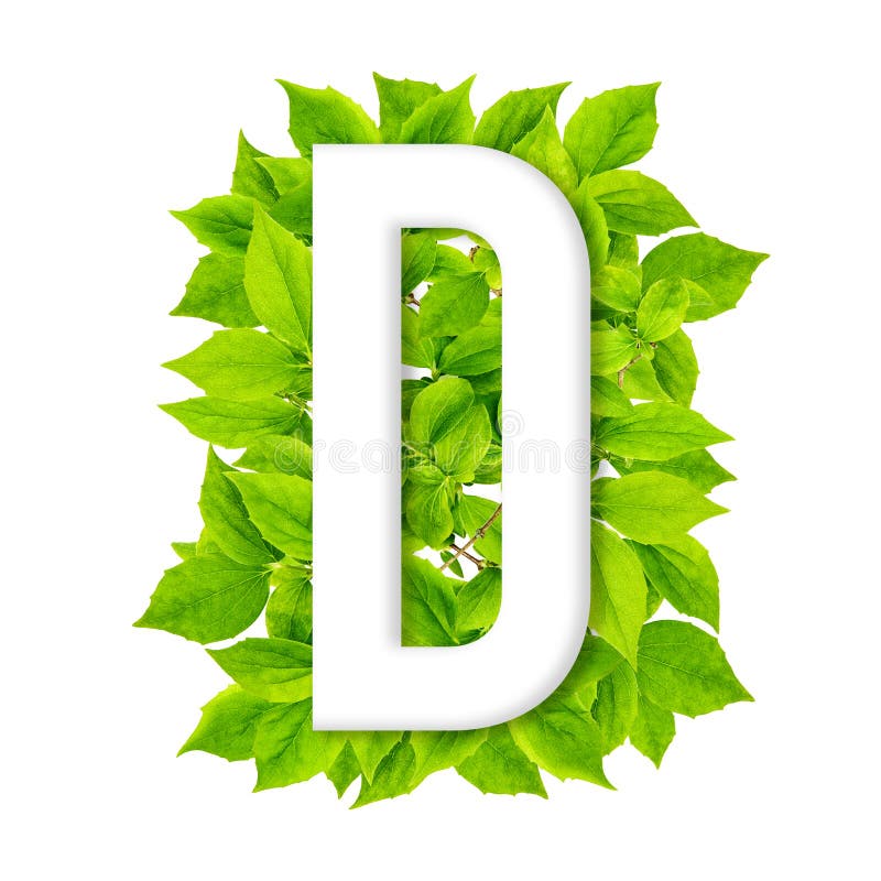 Letter D Green Leaves Background ABC Floral Alphabet Stock Image ...