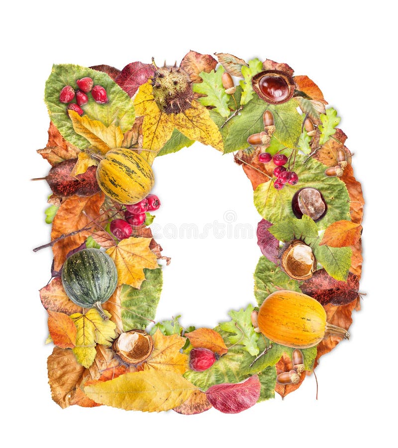 Letter D stock illustration. Illustration of birch, maple - 34384785