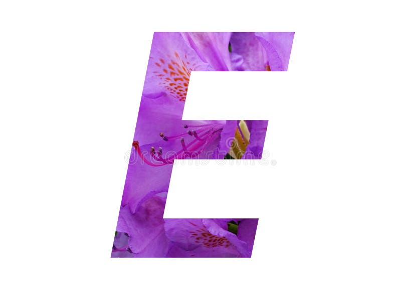 Letter E of the Alphabet Made with Pink Flower of Rhododendron Stock ...