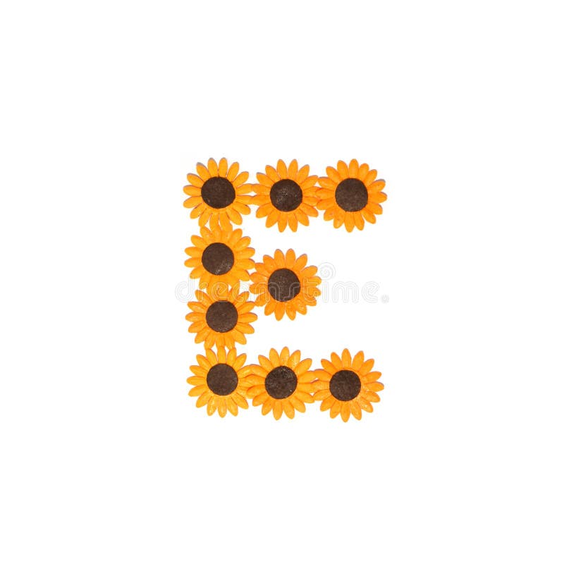 Letter E Created by Sunflowers Isolated Stock Image - Image of flowers ...