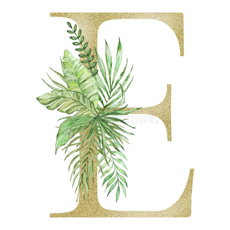 Tropical Letter E Stock Illustrations – 201 Tropical Letter E Stock ...