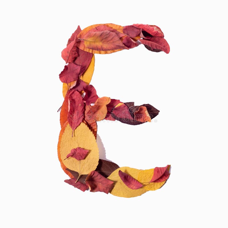 Letter E Isolate Autumn Leaves on White Background Texture Stock Photo ...
