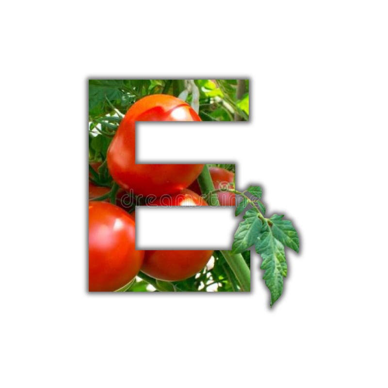Letter E Made of Fresh Fruit. E Lettering Stock Photo - Image of diet ...