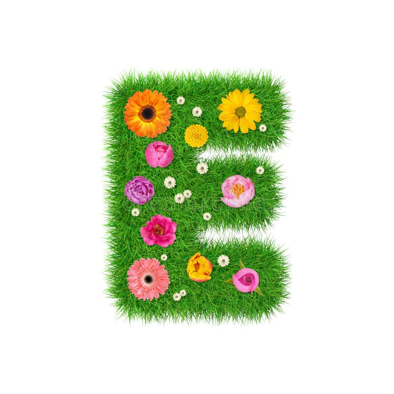 Letter E Made of Grass and Colorful Flowers, Spring Concept for Graphic ...