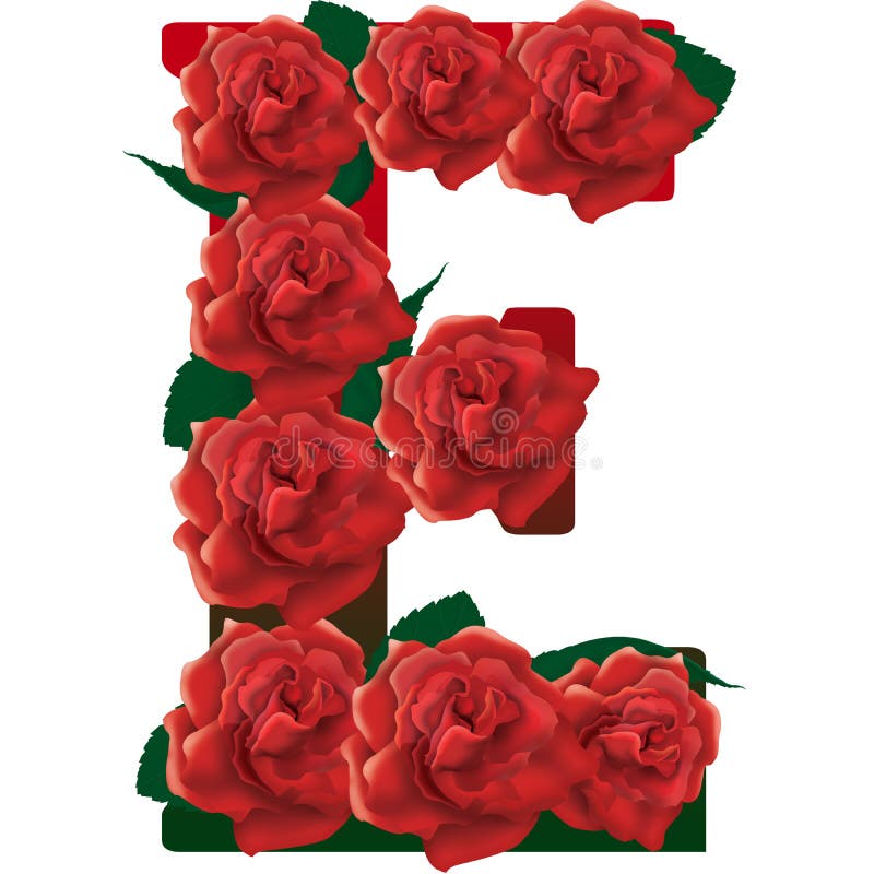 Letter E Red Roses Illustration Stock Image - Illustration of drawing ...