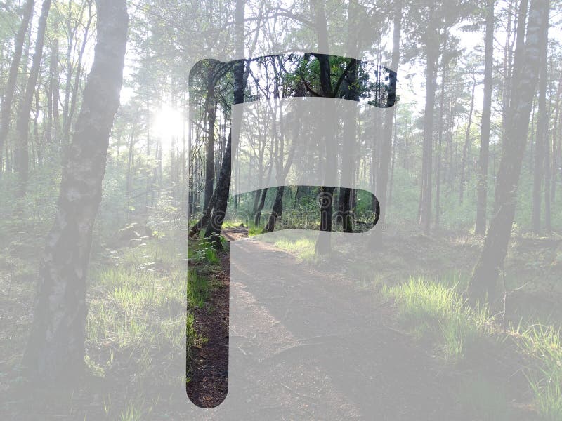 Letter F of the Alphabet Made with Sunlight in the Forest Stock ...