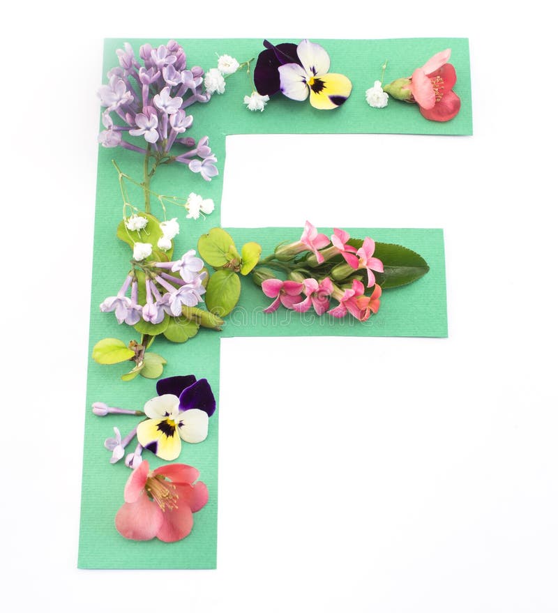 Letter M Made of Spring Flowers and Paper Stock Photo - Image of ...