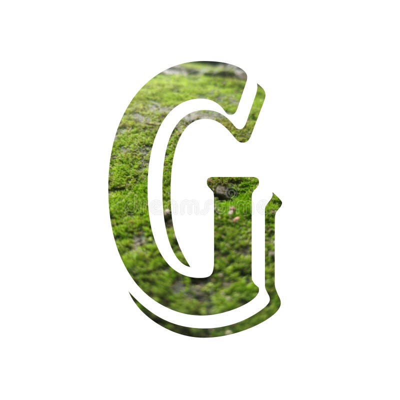 A Letter G with Abstract Background of Green Moss in it Stock Image ...
