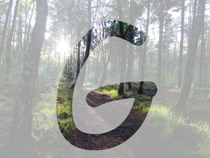 Letter G of the Alphabet Made with Sunlight in the Forest Stock ...