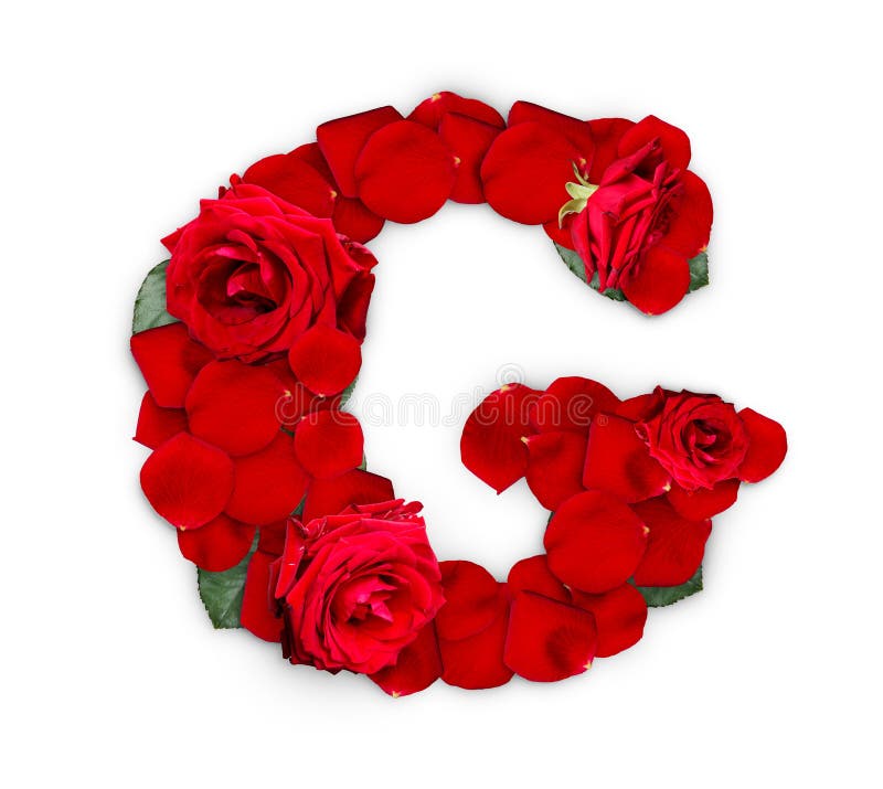 Letter Red Roses G Stock Photos - Free & Royalty-Free Stock Photos from ...