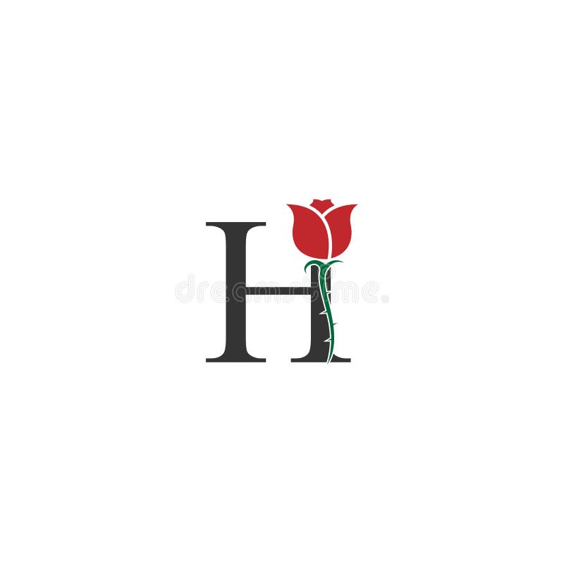 Letter H Logo Icon with Rose Design Vector Stock Vector - Illustration ...