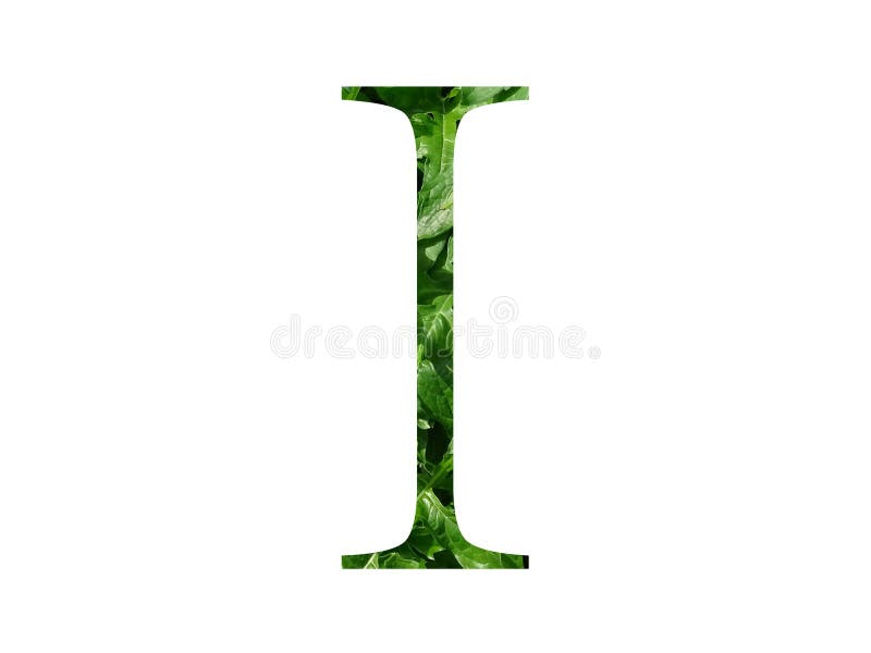 Letter I of the Alphabet Made with Fresh Green Leaf Stock Illustration ...