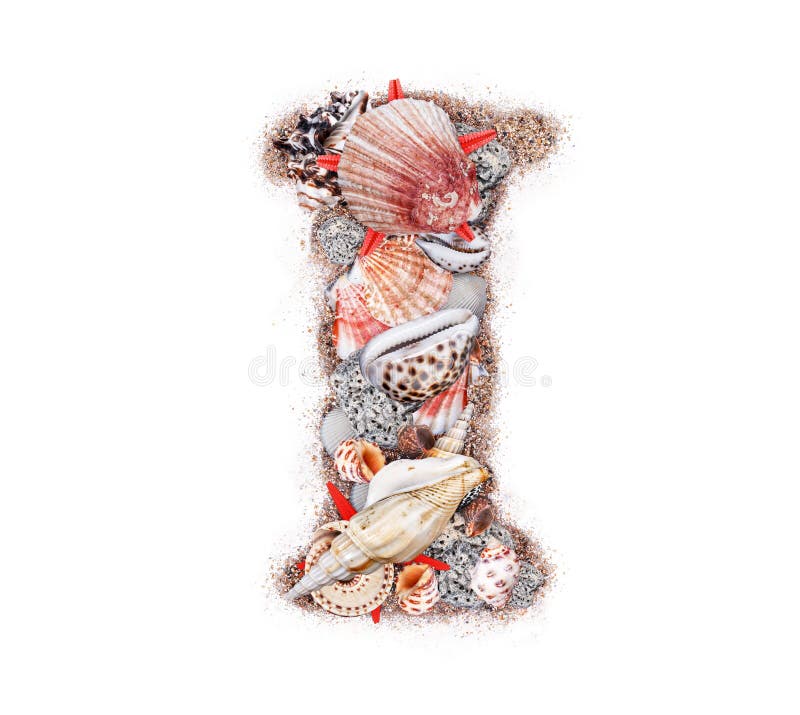 501 Seashell Alphabet Stock Photos - Free & Royalty-Free Stock Photos ...