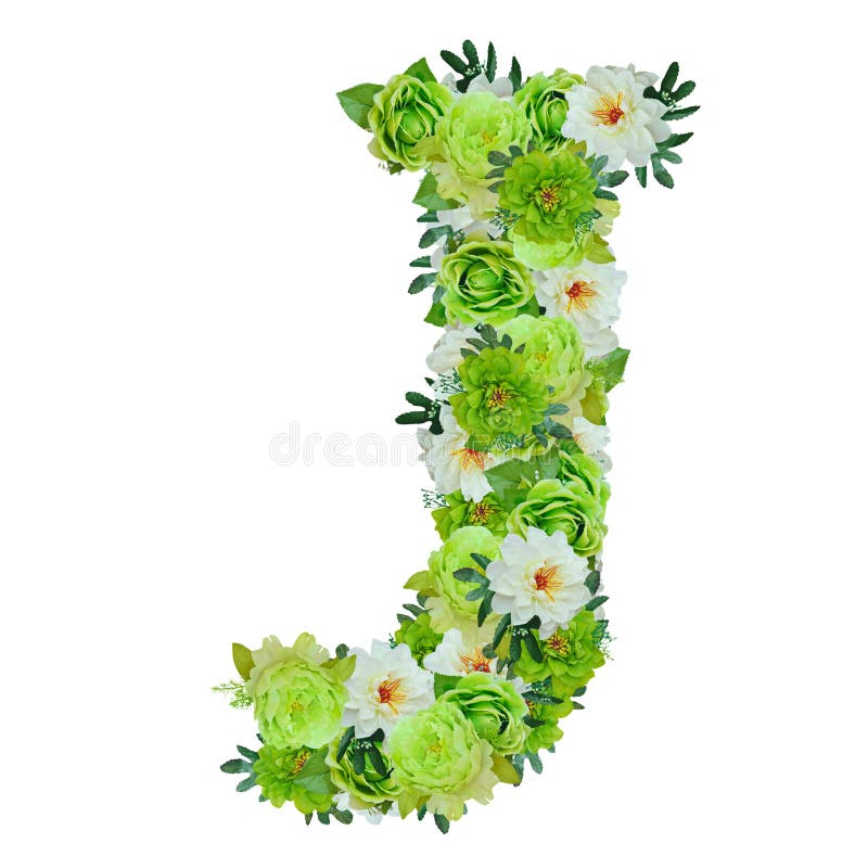 Letter R from Orchid Flowers Isolated on White Stock Photo - Image of ...